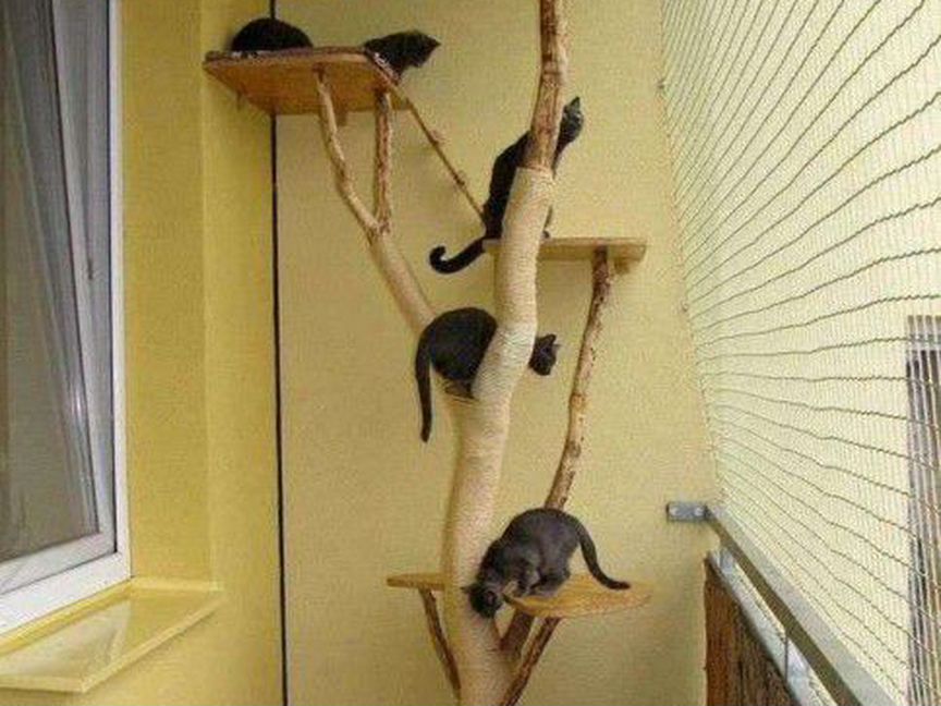Кошачий домик