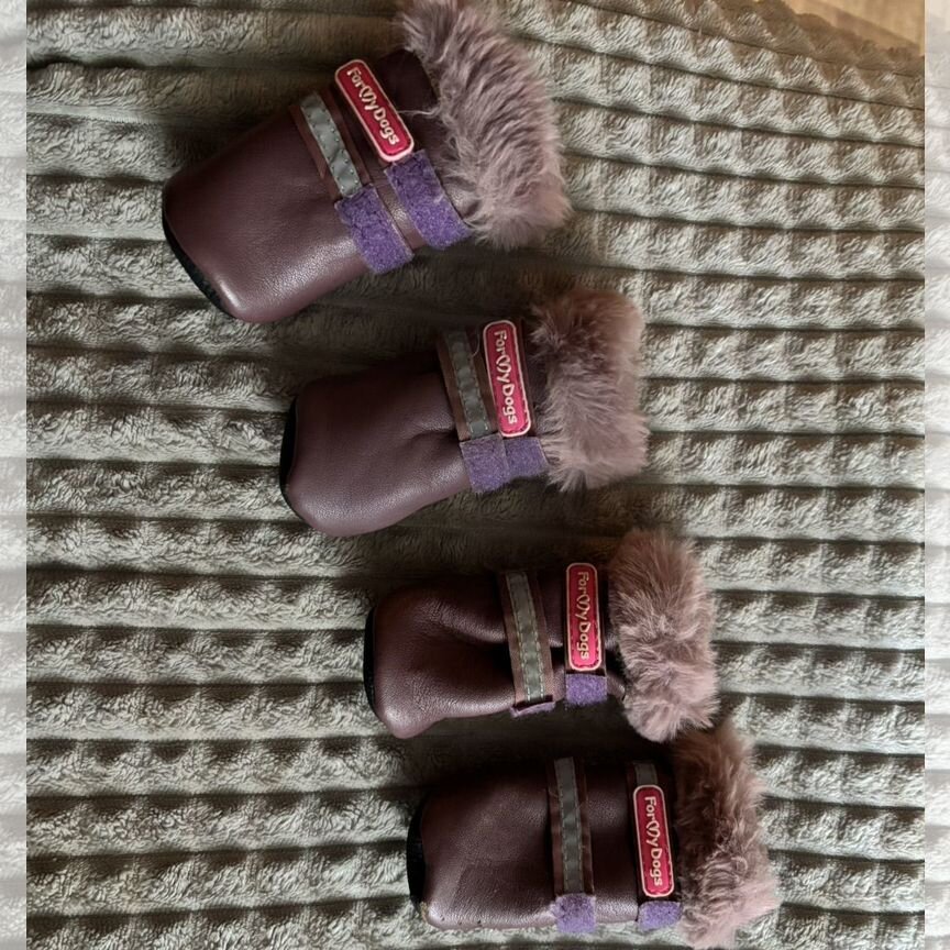 Обувь для маленьких собак зимняя