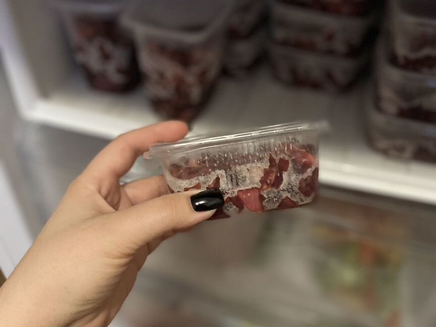 Еда для собак и кошек