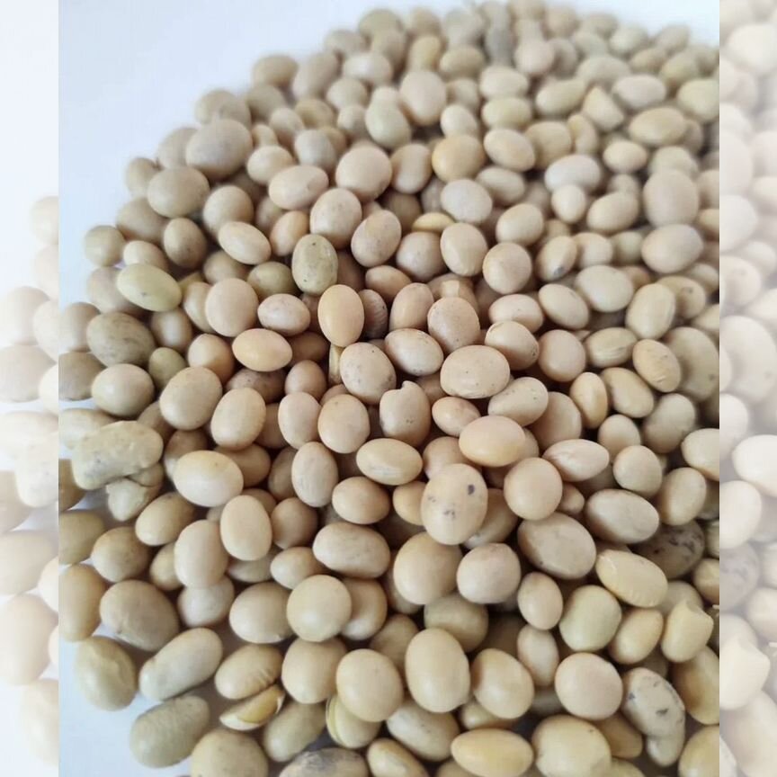 Корм для птиц