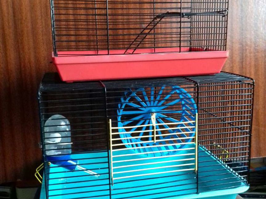 Домик для мышки/хомяка с домиком