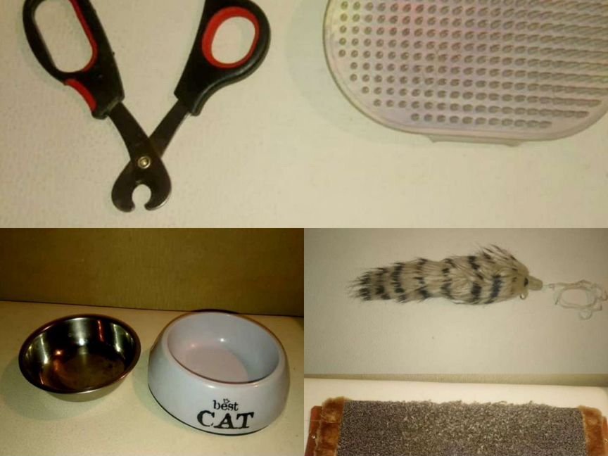 Миска, Ножницы, Щетка