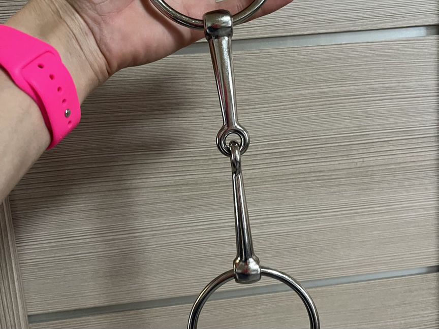 Удила, железо для лошади