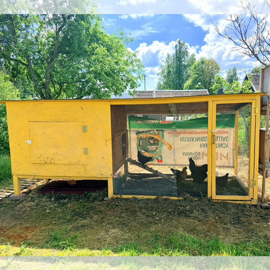 Отличный курятник на 7-10 кур