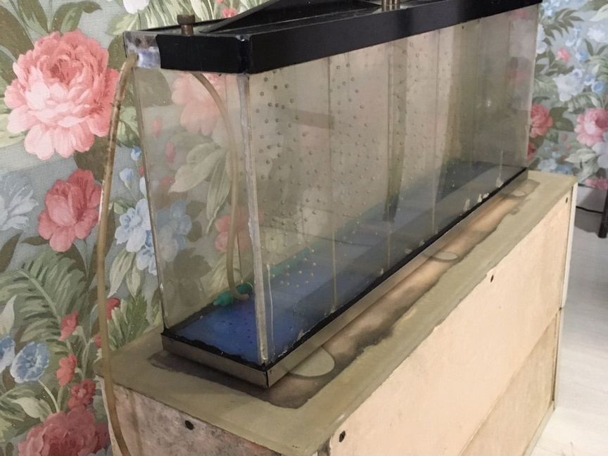 Аквариум переносной