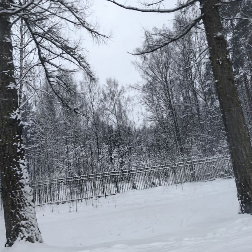 Парсер