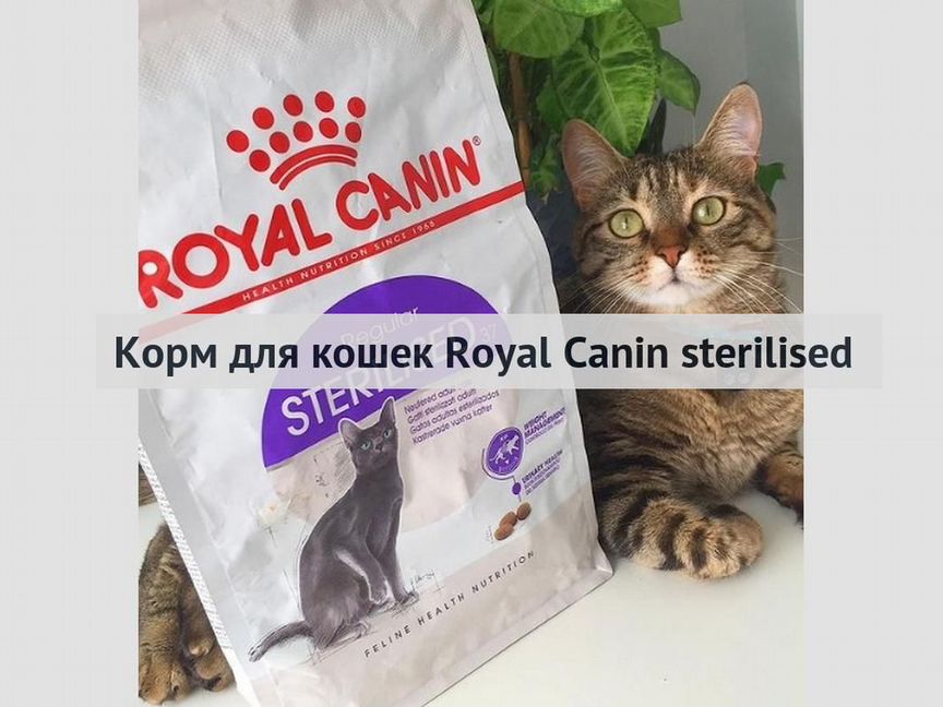 Роял канин для стерилизованных кошек Корм для коше