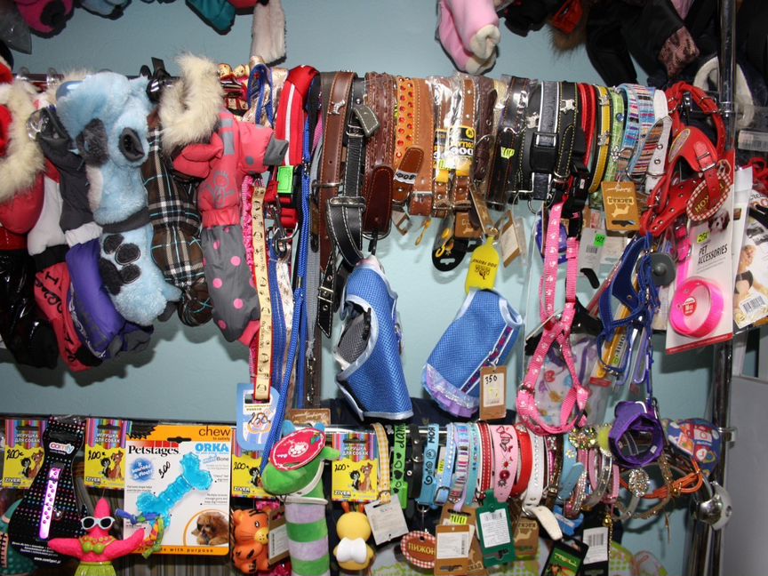 Зоотовары для кошек и собак