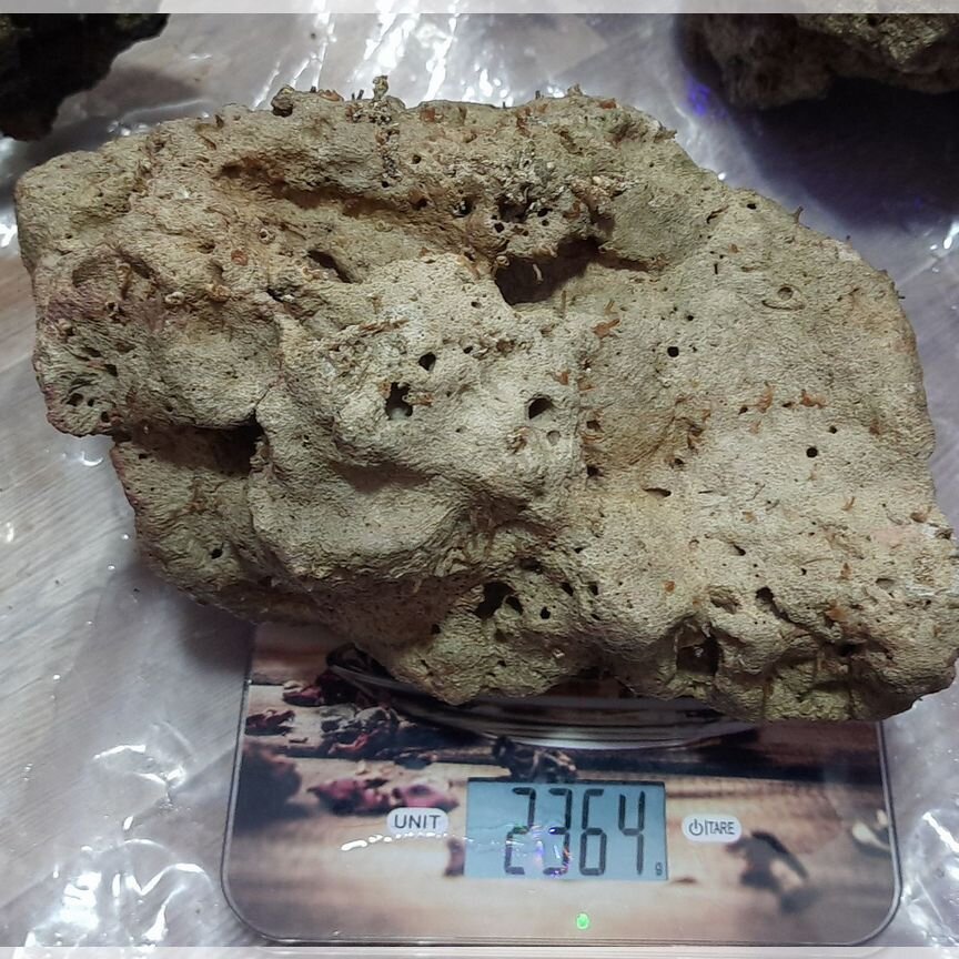 Живые камни в морской аквариум