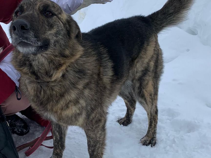 Помогите найти дом