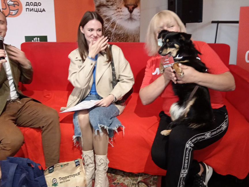 Собачка в добрые руки