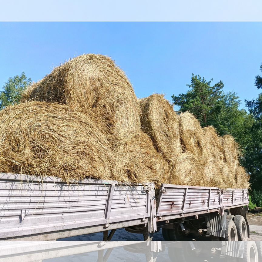 Продажа сено в тюках