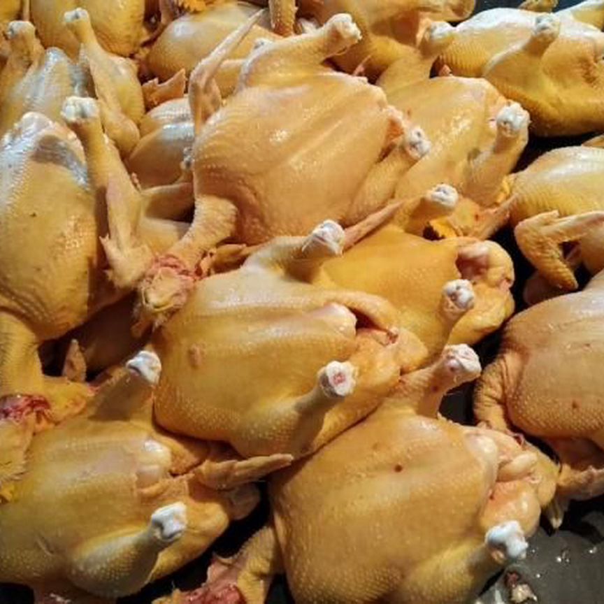 Куры бройлеры тушки мясо доставка