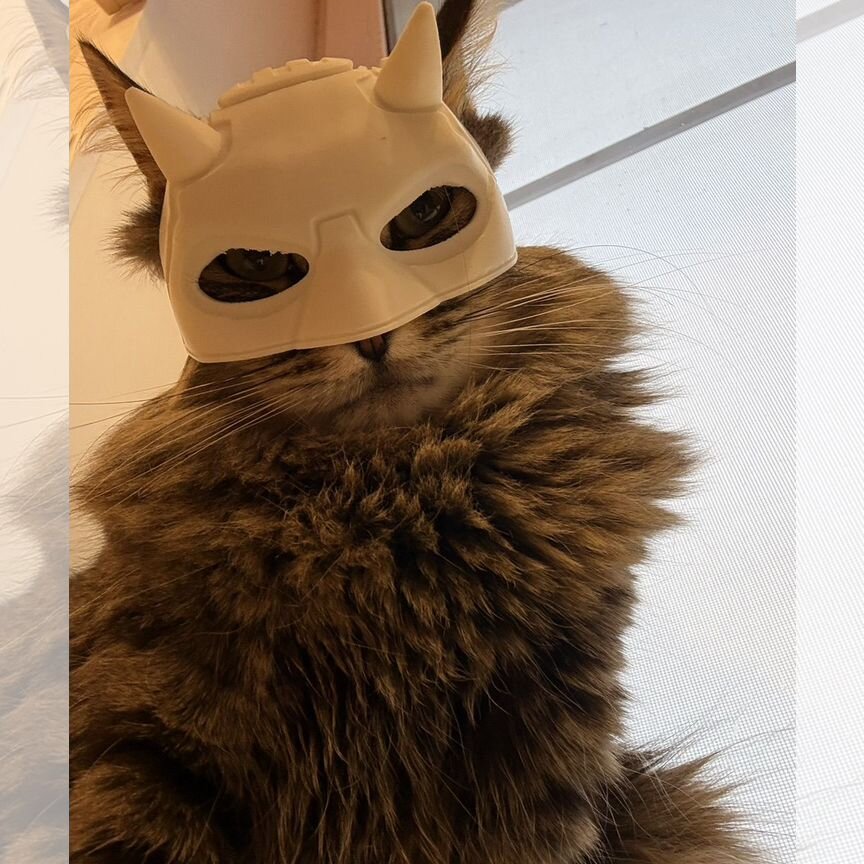 Маска для кота Дедпул