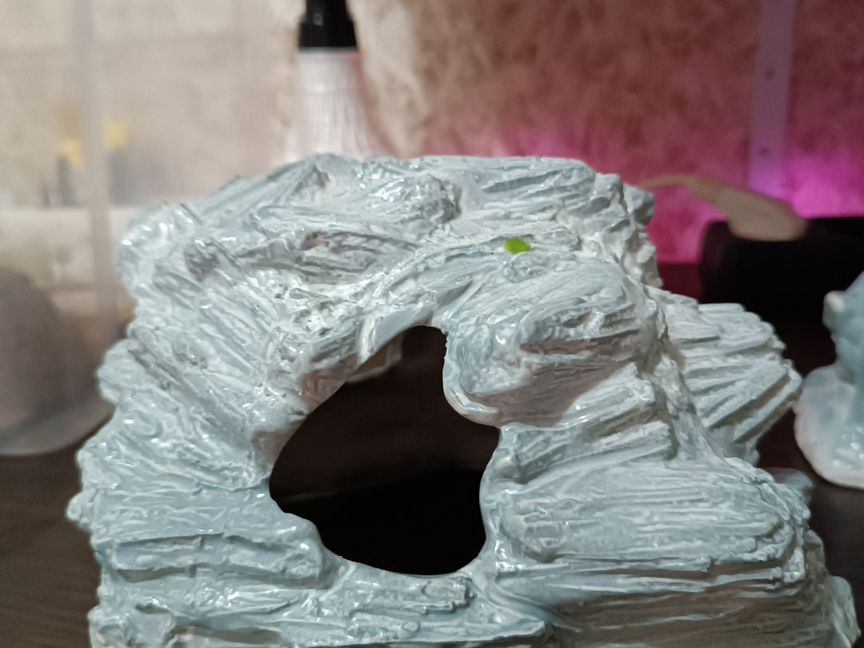 Для аквариума