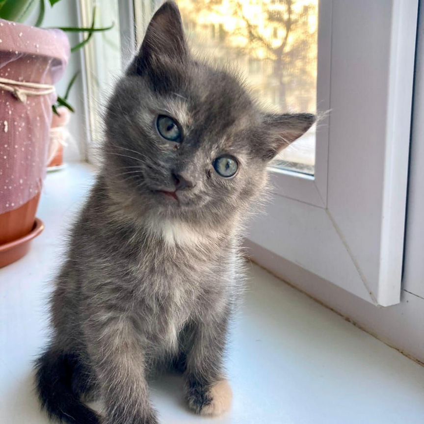 Малышка 2 месяца