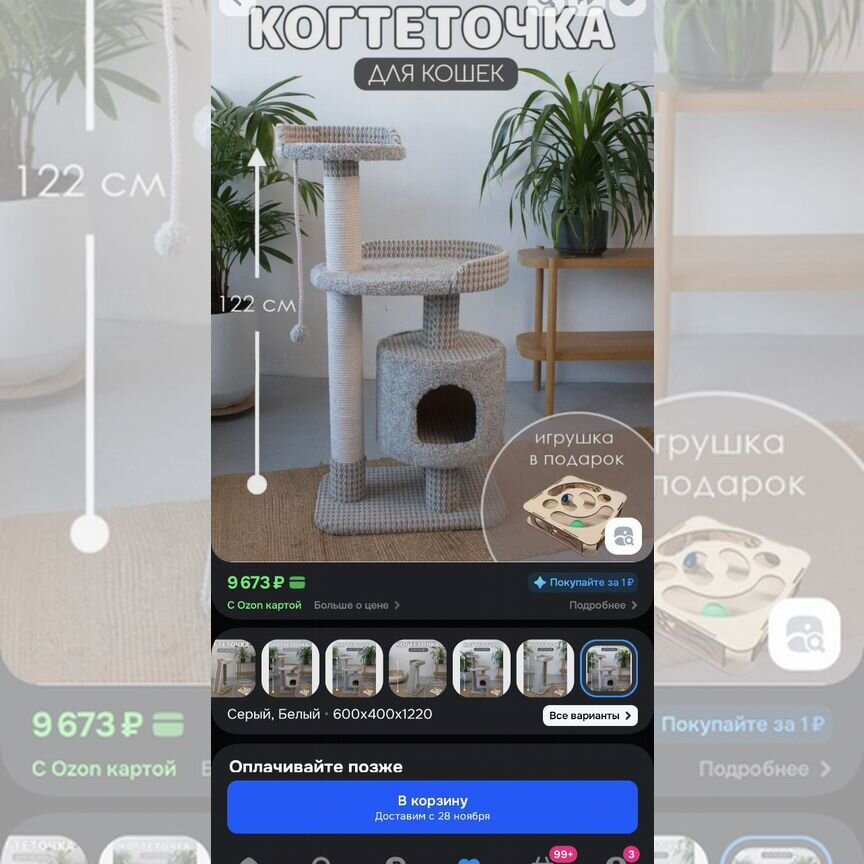 Когтеточка