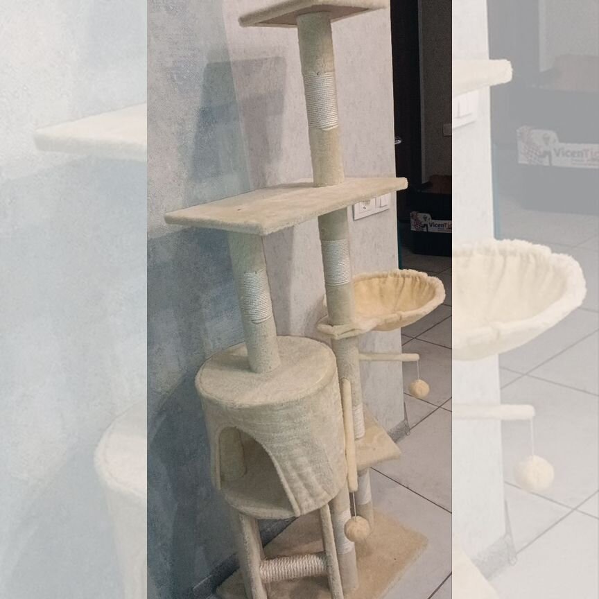 Когтеточка