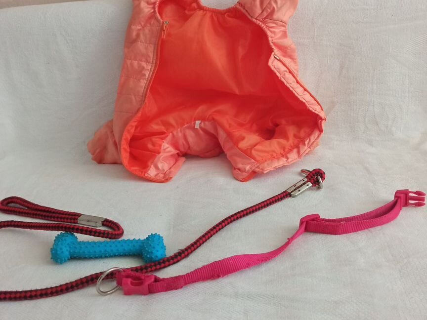 Набор для собаки