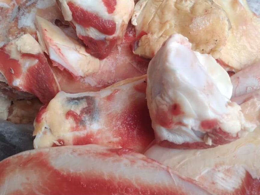 Хрящи говяжьи на корм животным