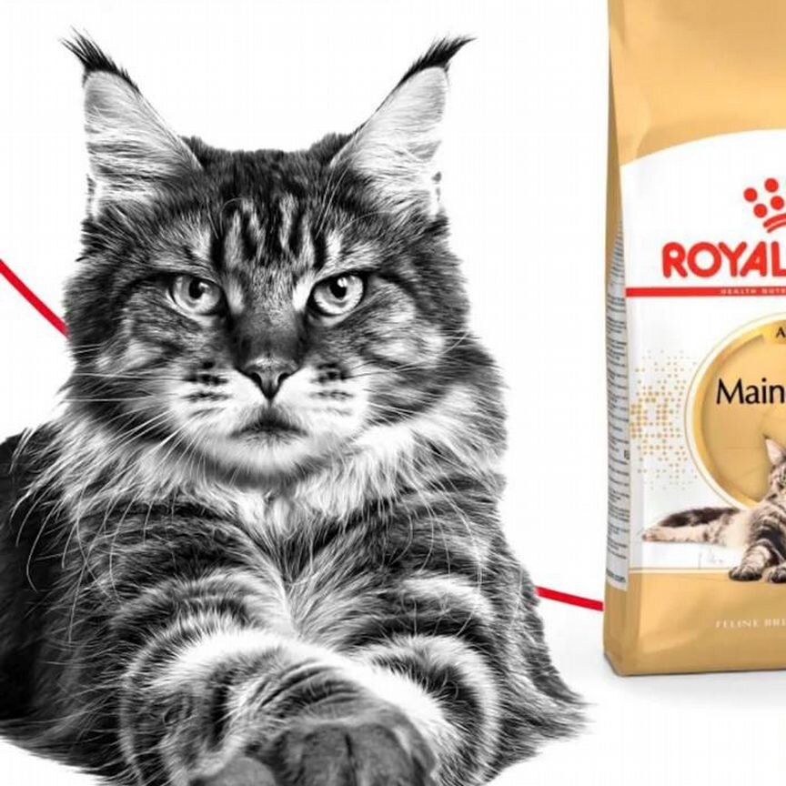 Корм для кошек royal canin 10 кг