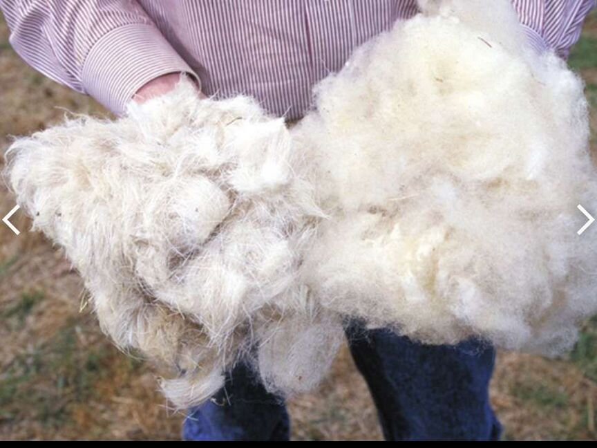 Шерсть овечья