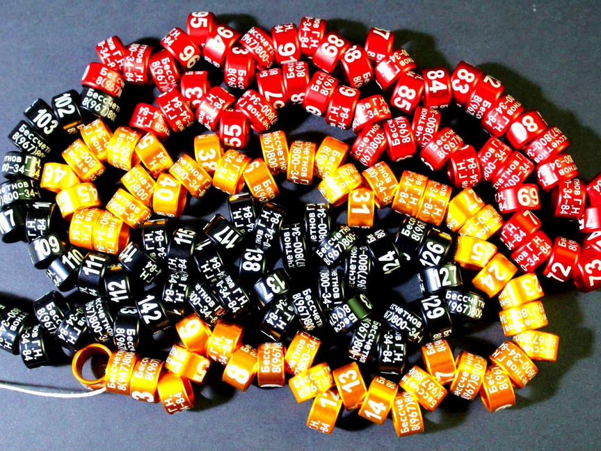 Кольца на лапку голубя