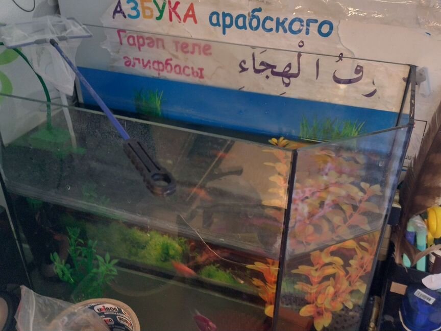 Аквариум с рыбками