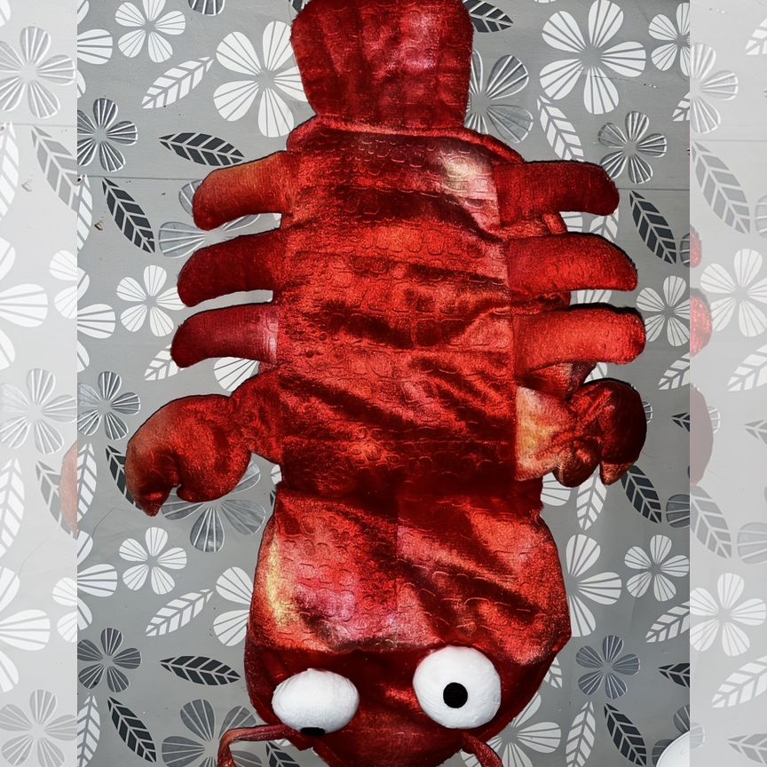 Одежда для животных