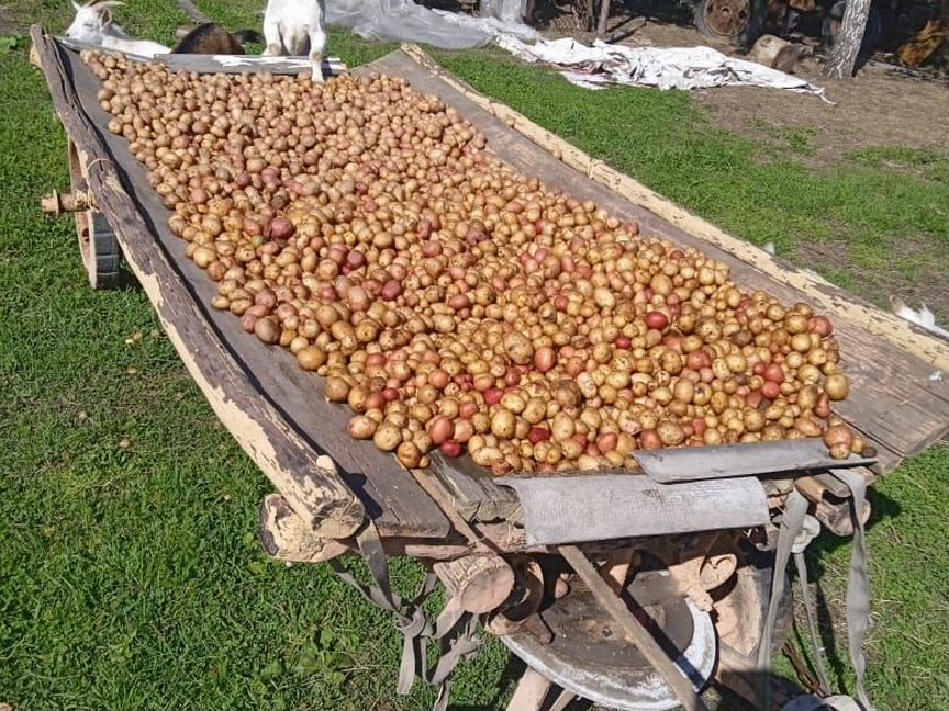 Конная телега