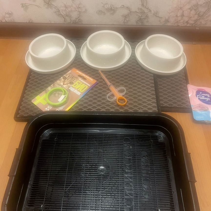 Утварь для котика