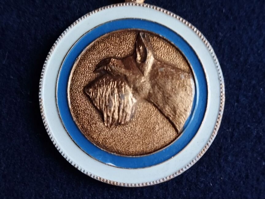 Медальон для собаки