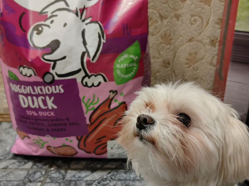 Barking Heads с уткой и бататом