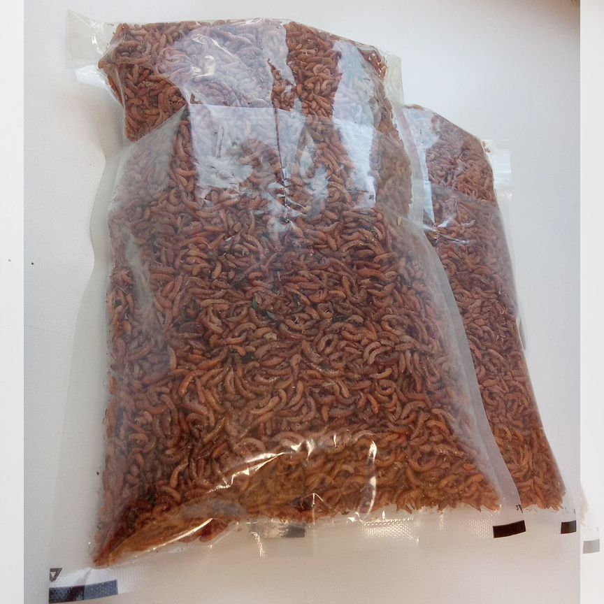 Гаммарус сушеный