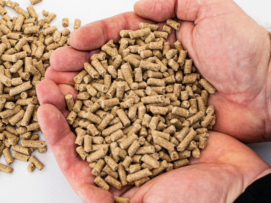 Корм для с/х животных