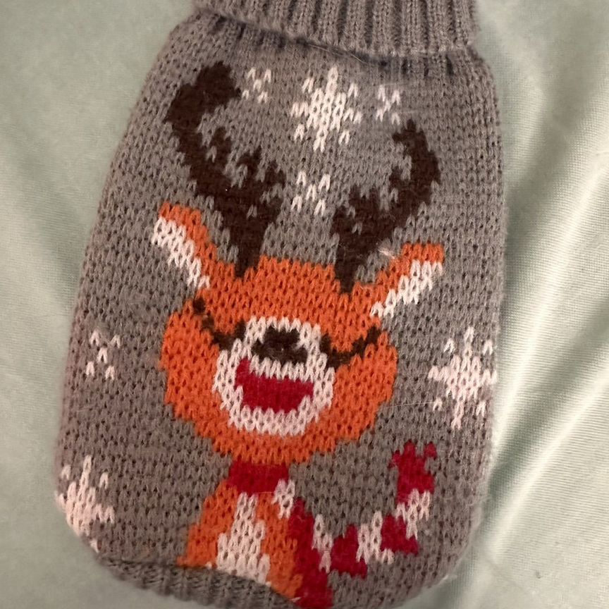 Костюм для кошки