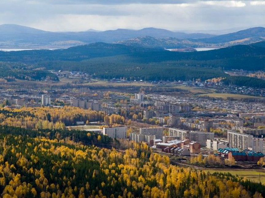 Картофель на корм животным