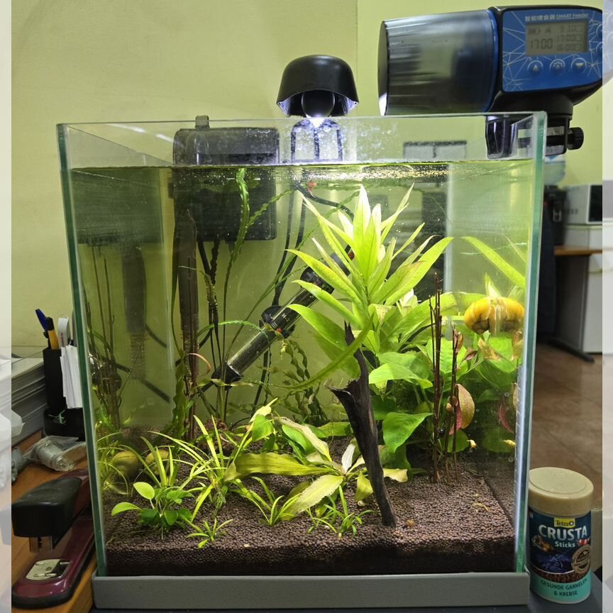 Аквариум куб 30 литров