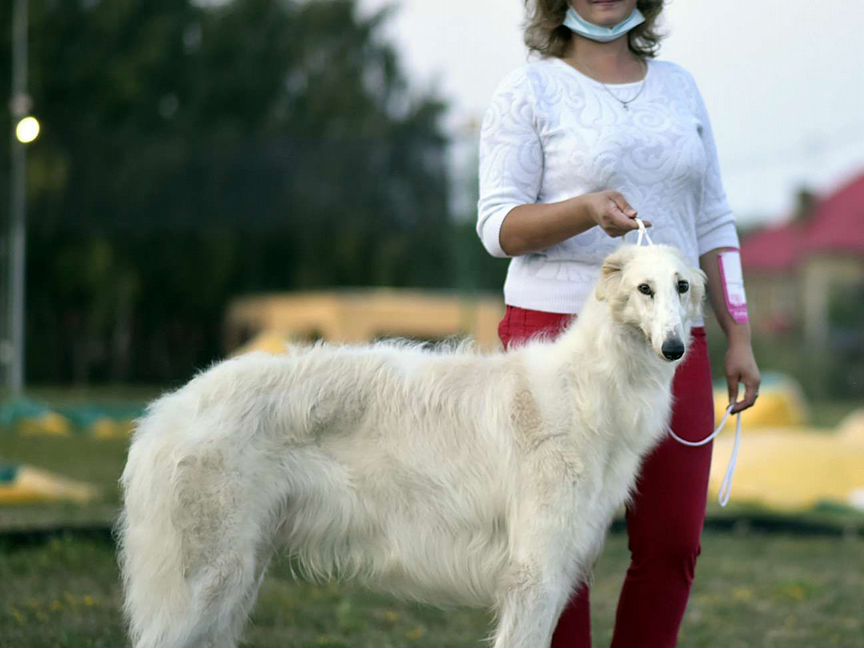 Отличные детки