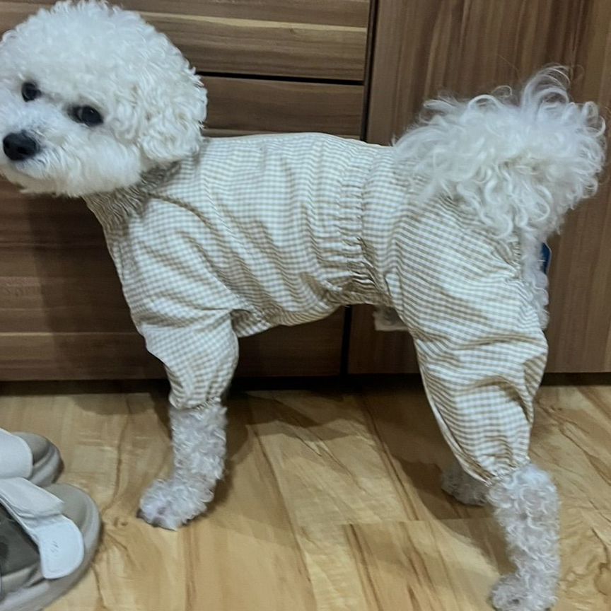 Комбинезон новый для собаки