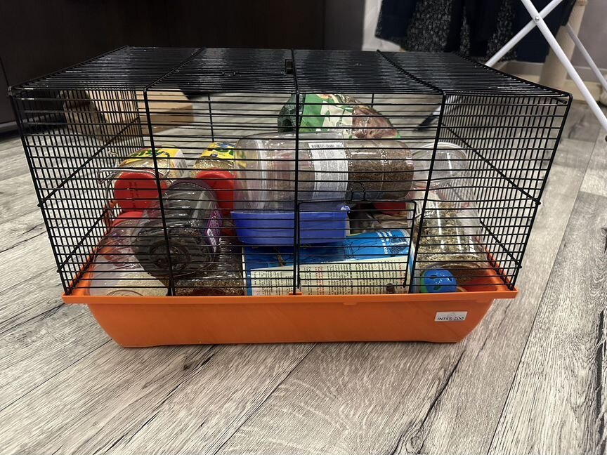 Клетка для попугая