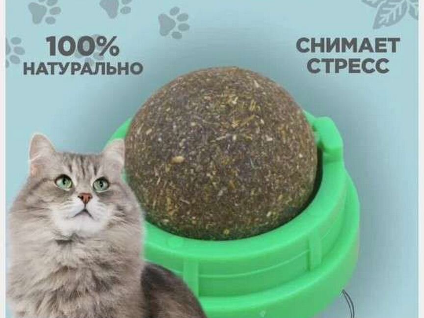 Шарик кошачий мяты