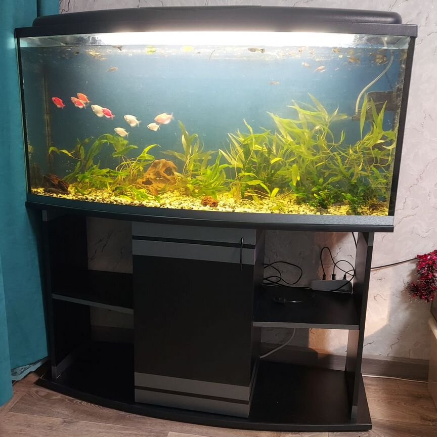 Аквариум 280л