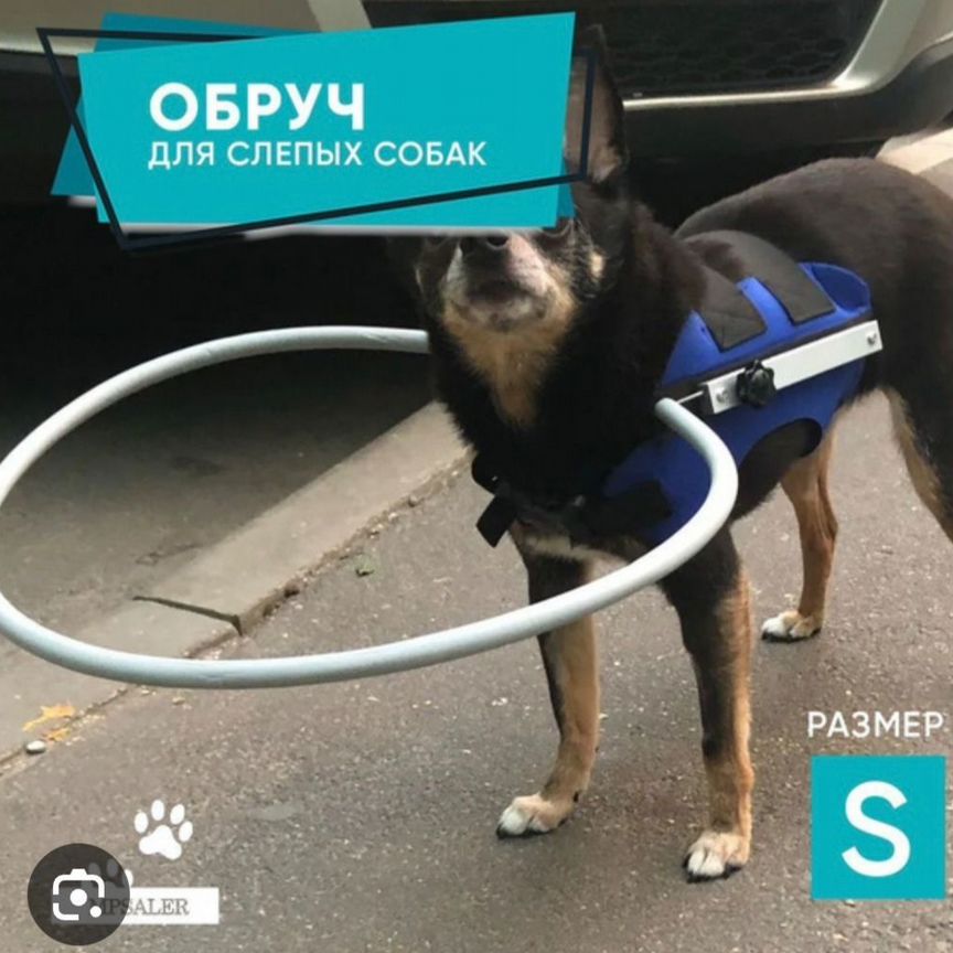 Шлейка с обручем для слепых собак
