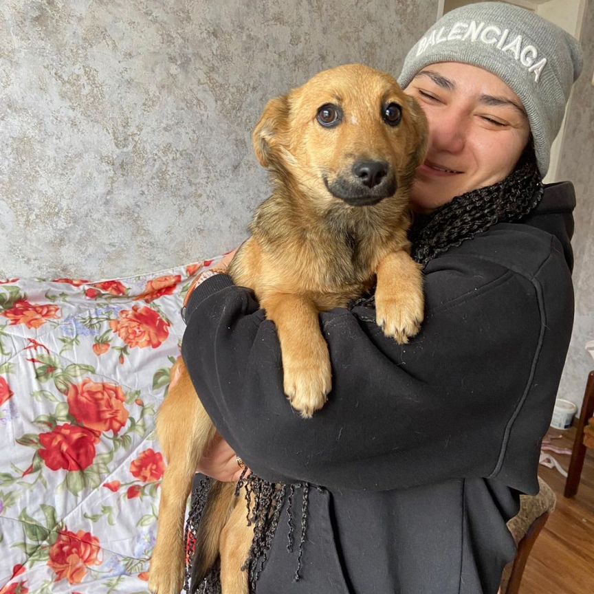 Маша ищет дом