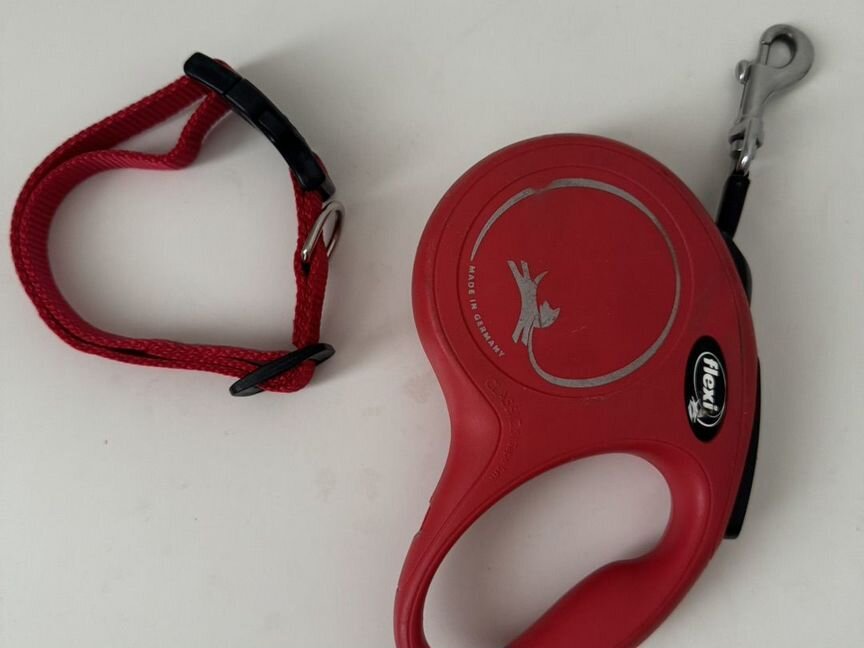 Рулетка для собак flexi + ошейник