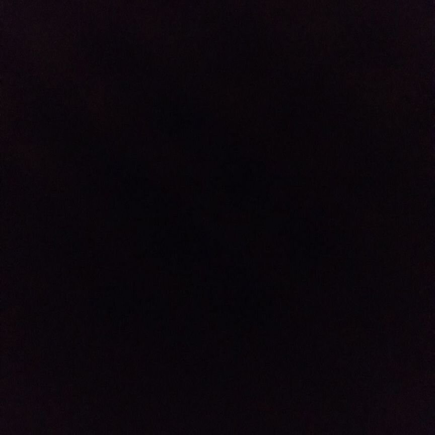 Отдам 2-х белых котят, 1,5 мес
