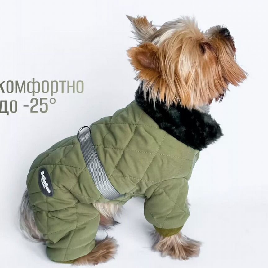 Одежда для собак мелких пород