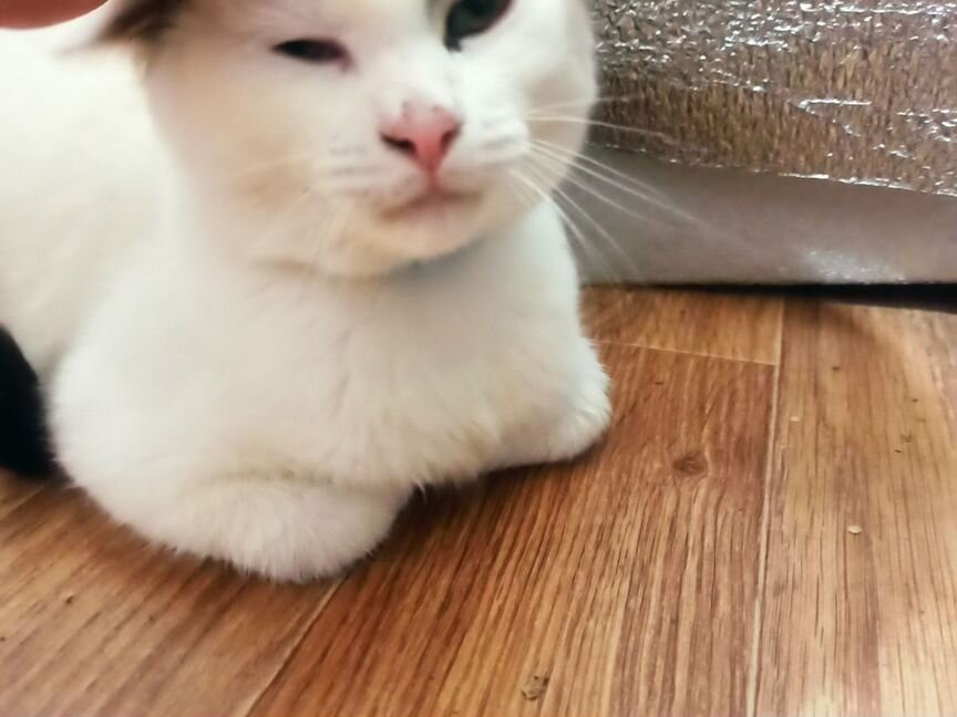 Каспер