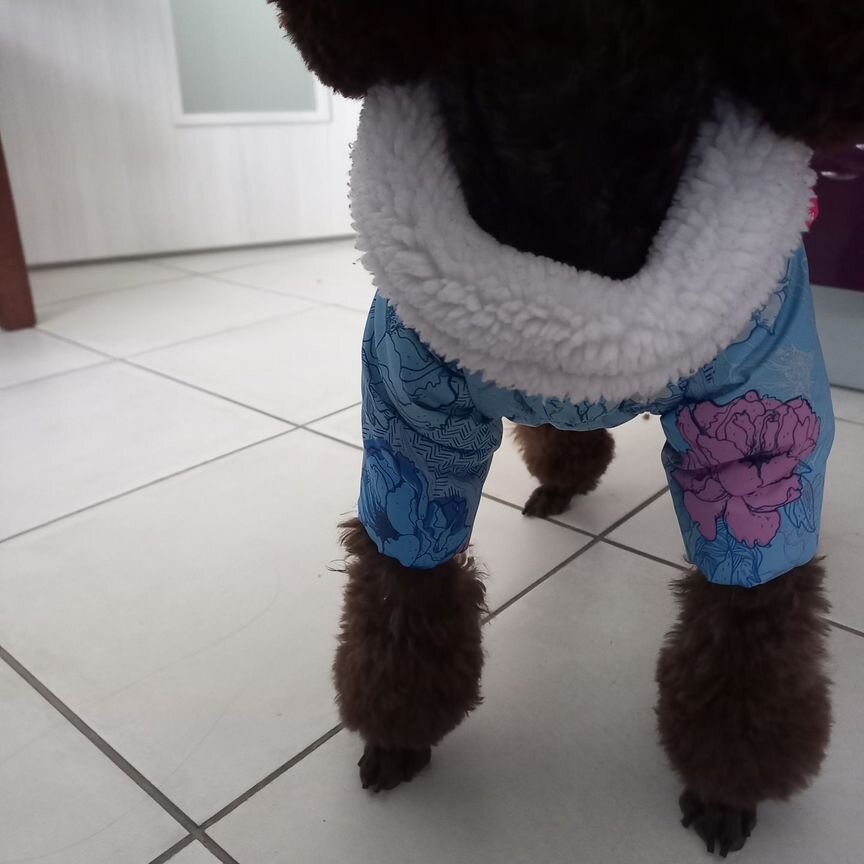 Комбинезон для маленькой собаки